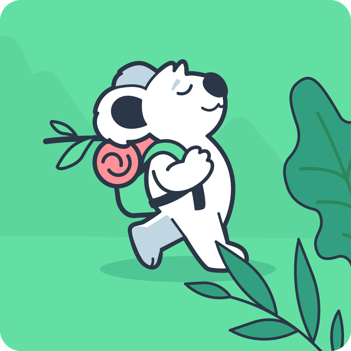 Koala - Fair & Simple Travel Insurance. Be part of the Koala revolution.