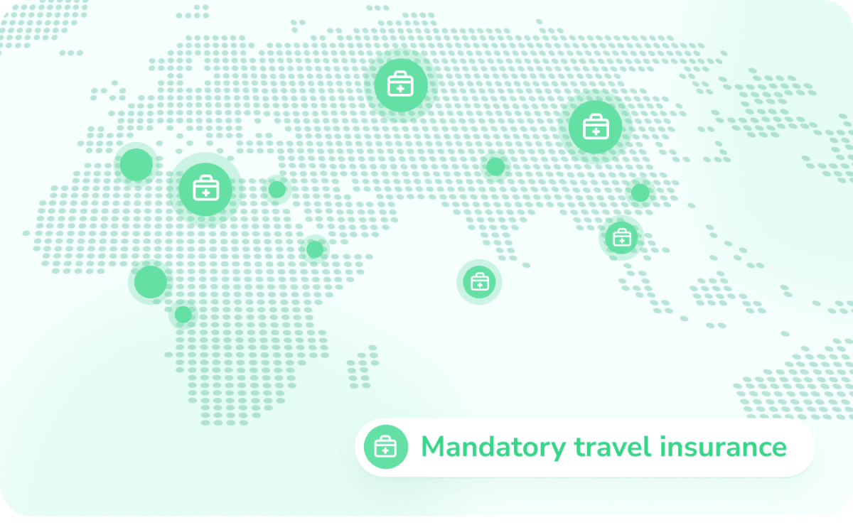 Koala Comprehensive | Koala