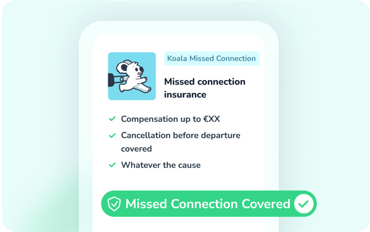 Koala Missed Connection | Koala