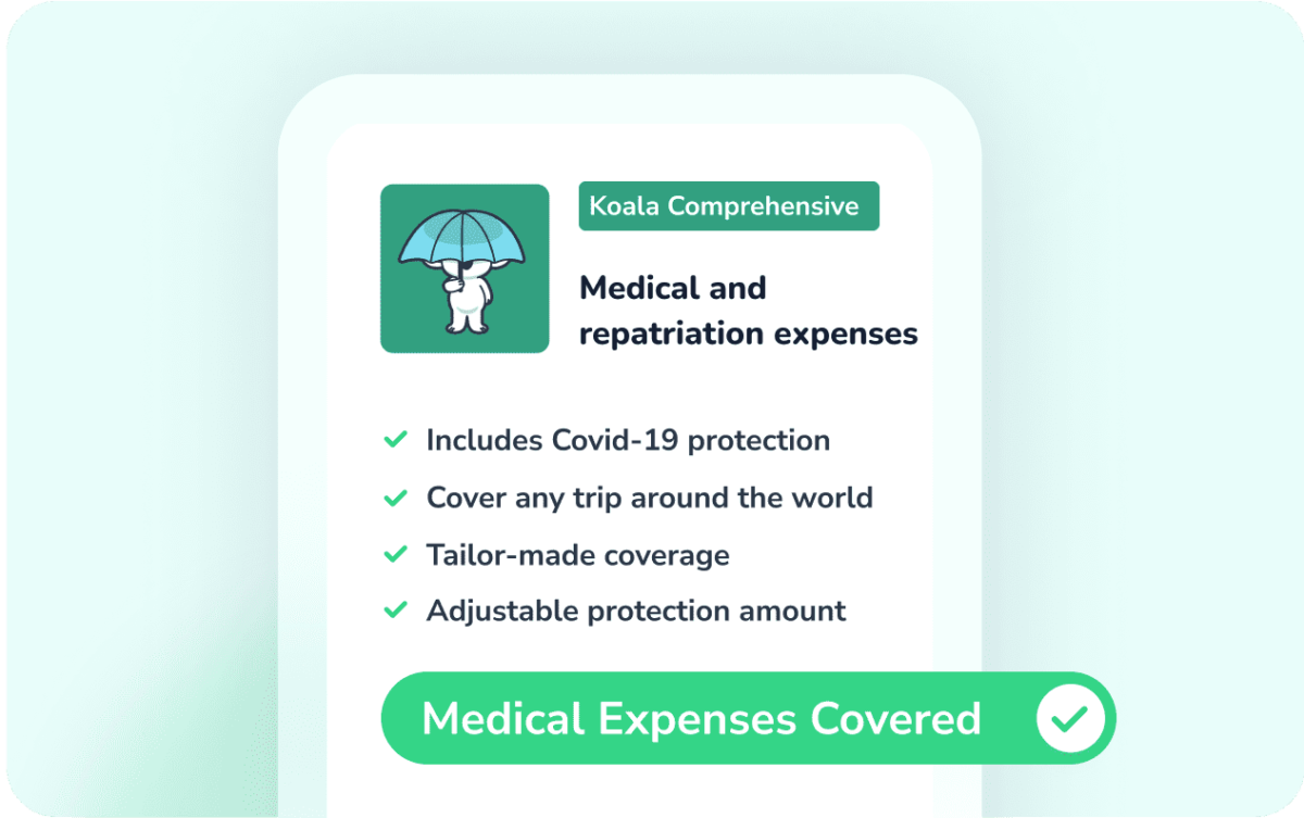 Koala Comprehensive | Koala